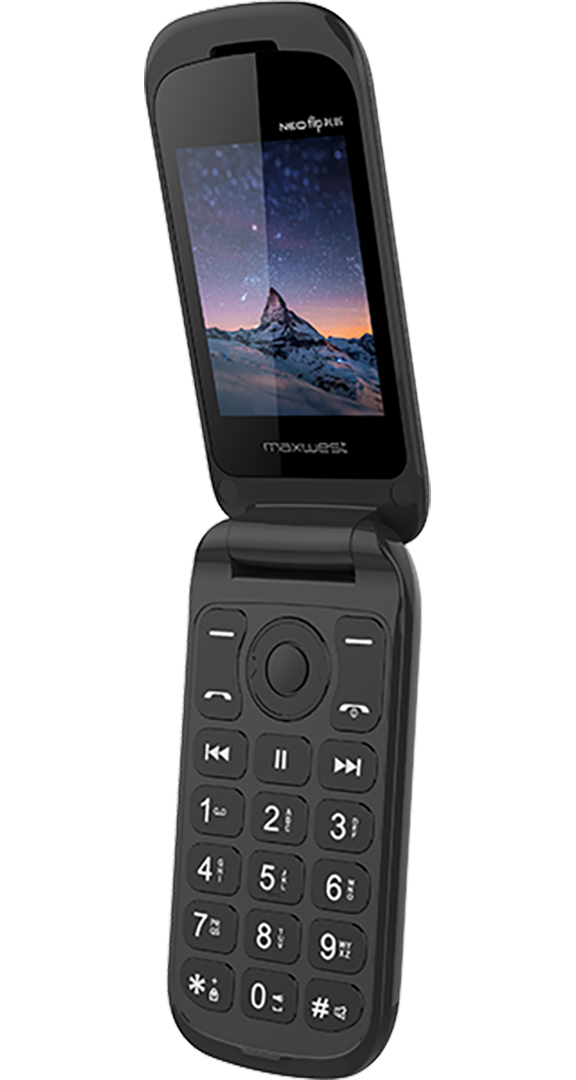 DOLPHIN – Wireless Electronics